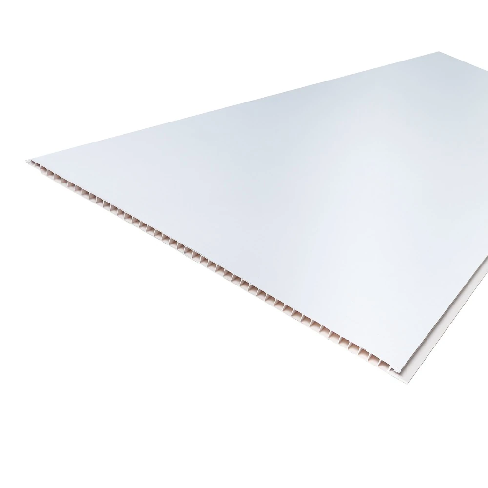 Bambú de interior - Coimsa Chile